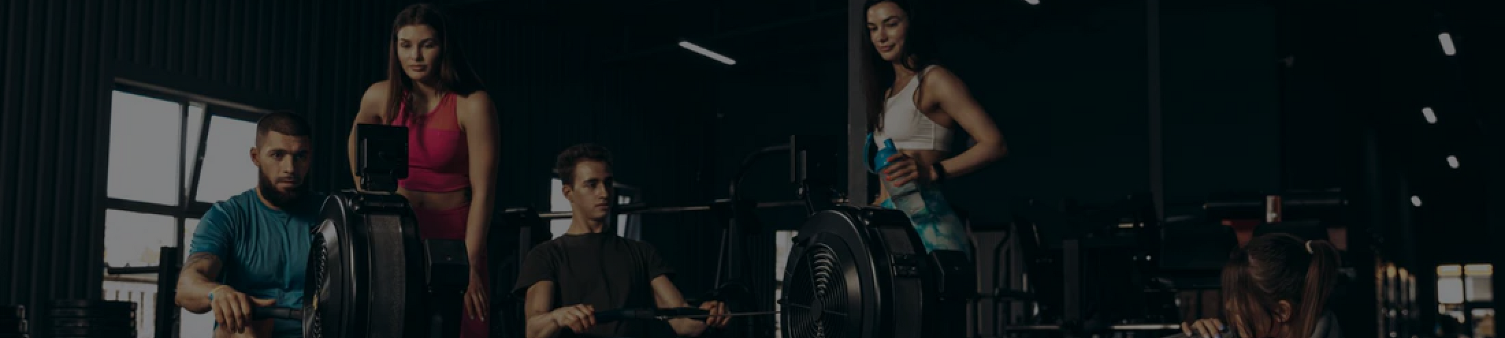 Supplements tailored for high-intensity and endurance athletes. – Cerus ...